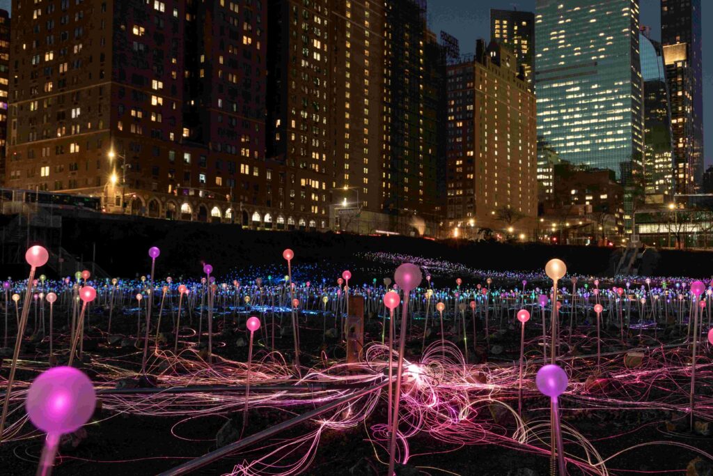 Field of Light - Bruce Munro Studio