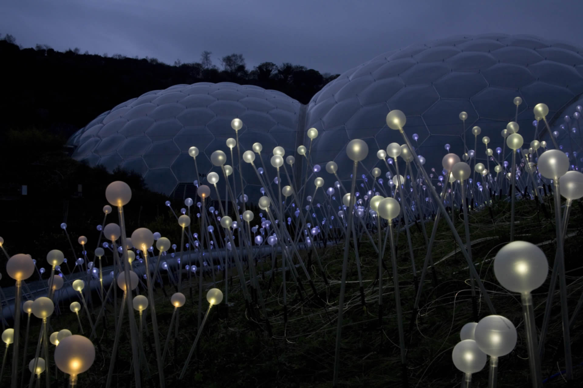 Field of Light at Eden Project- Bruce Munro