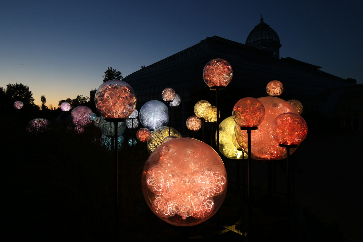 Light: Bruce Munro at Franklin Park Conservatory
