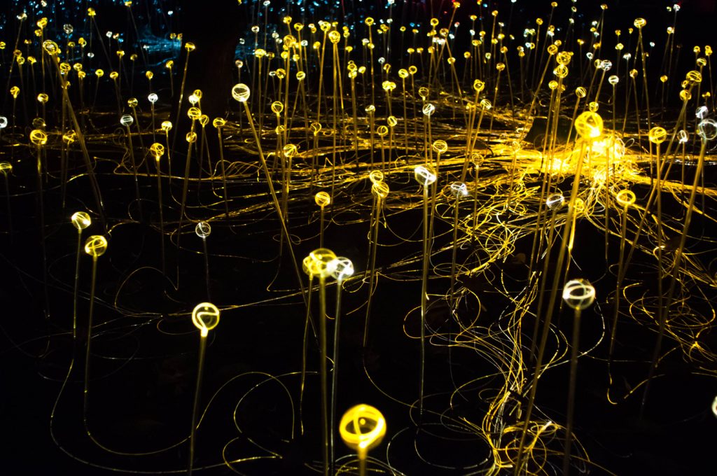 Bruce Munro, Field of Light, Mexico City,