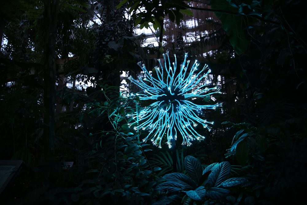 Light in the Garden - Bruce Munro Studio