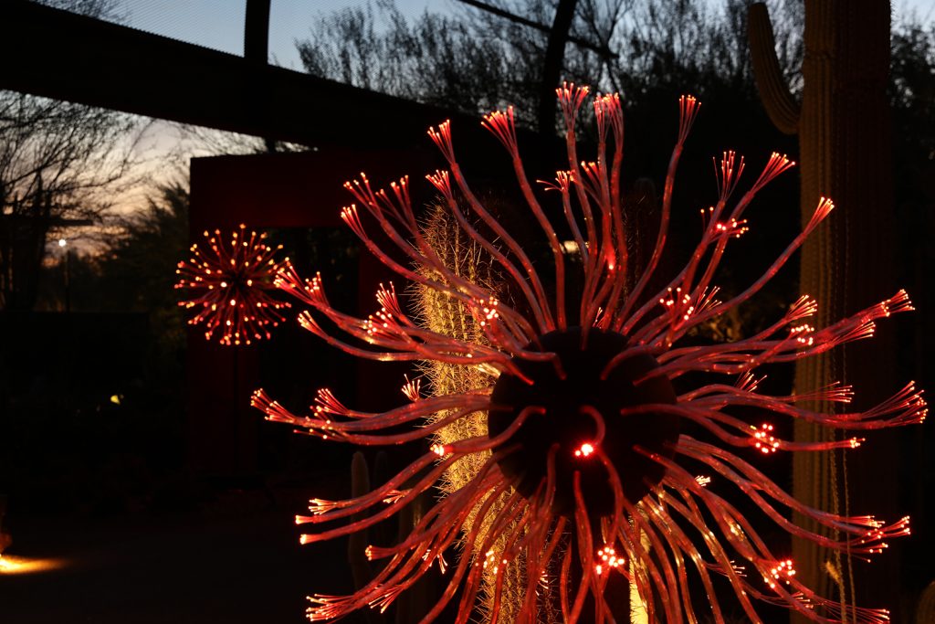 Sonoran Light - Bruce Munro Studio