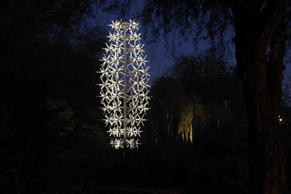Sonoran Light - Bruce Munro Studio