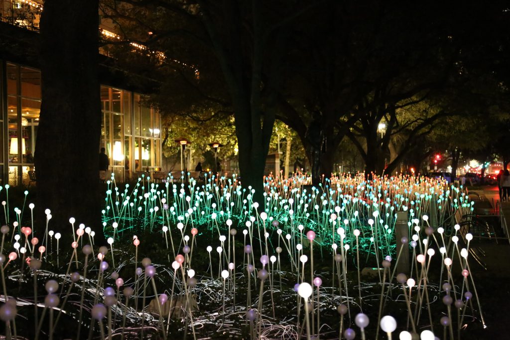 Field of Light - Bruce Munro Studio