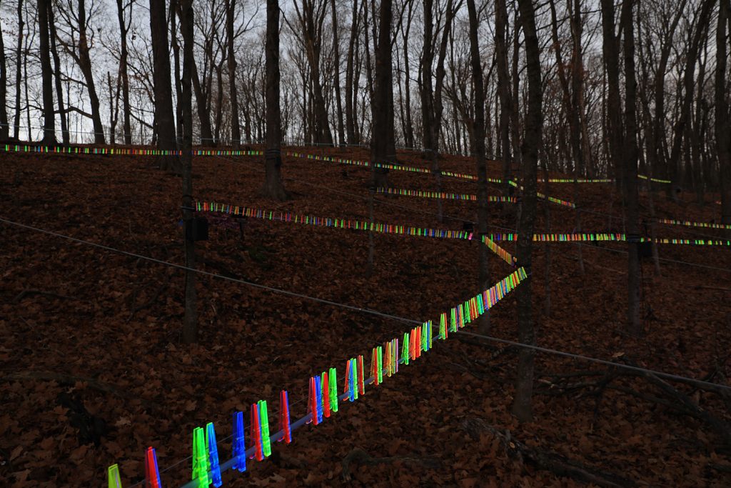 Light at the Arboretum - Bruce Munro Studio