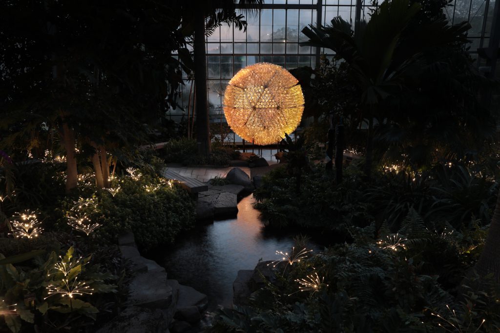 Light - Bruce Munro Studio