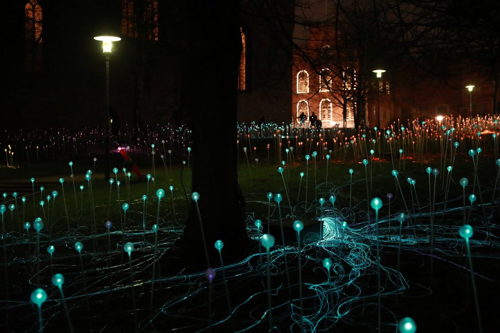 Field of Light - Bruce Munro Studio