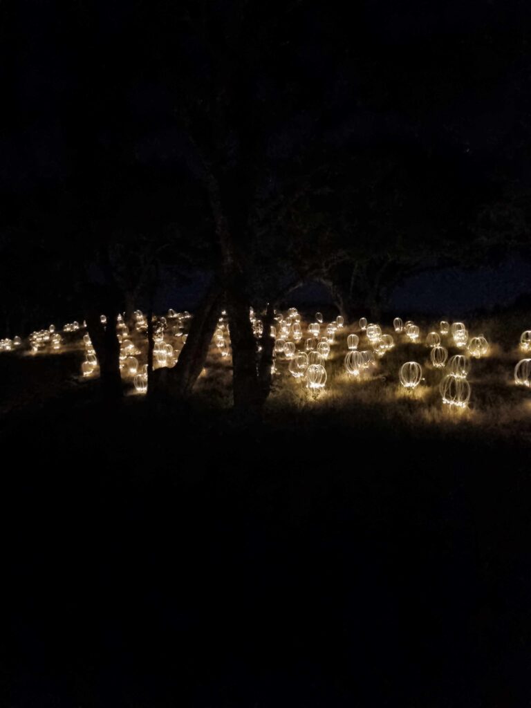 Light at Sensorio, Paso Robles, California, USA - Bruce Munro Studio