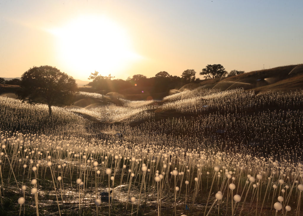 Light at Sensorio, Paso Robles, California, USA - Exhibition Expansion ...