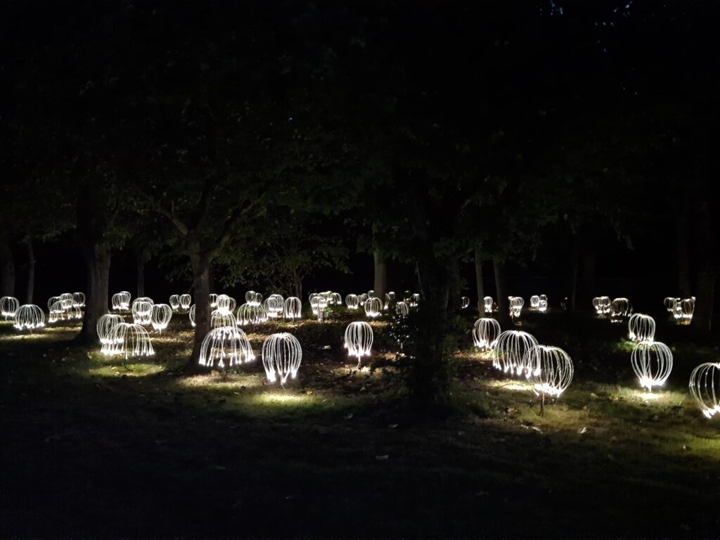 Arrow Spring - Bruce Munro Studio