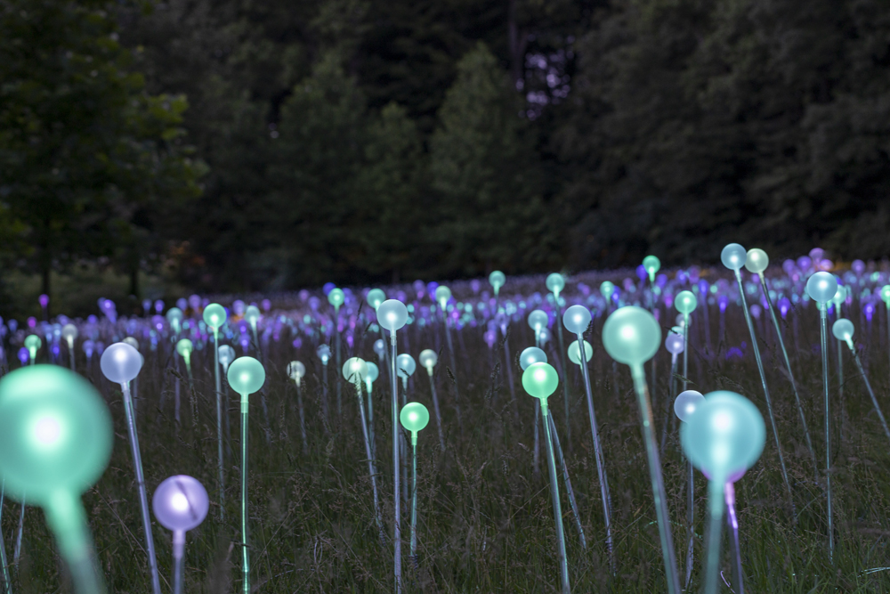 Light, Longwood Gardens, Philadelphia, USA - Bruce Munro Studio