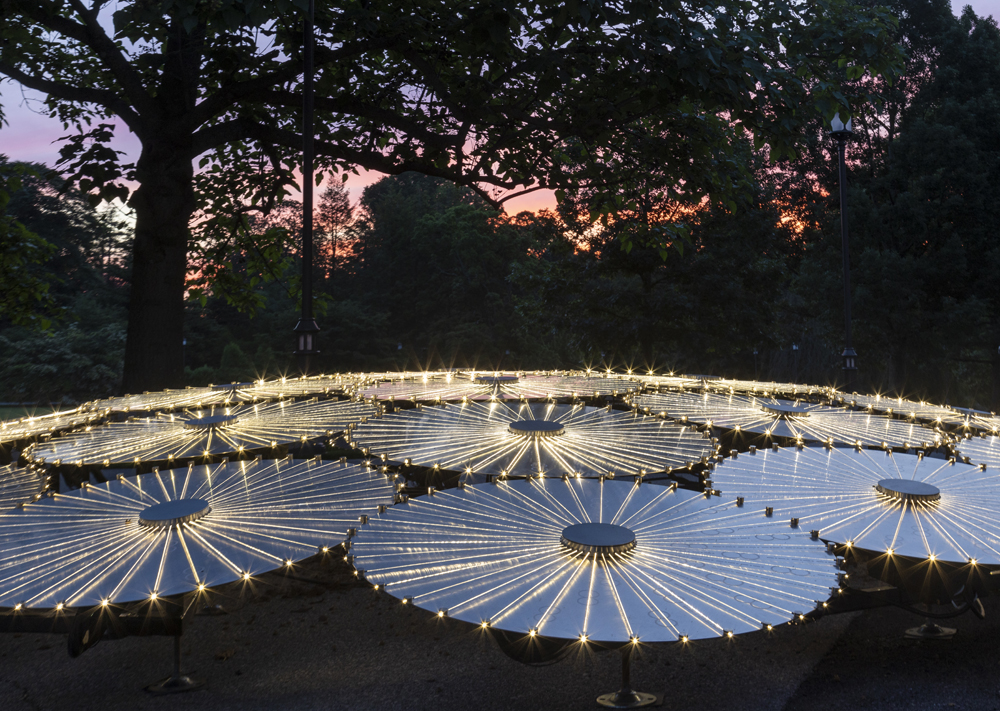 Light - Bruce Munro Studio