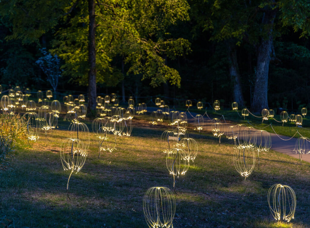 Light: Bruce Munro at Cheekwood Gardens, Nashville, USA - Bruce Munro ...
