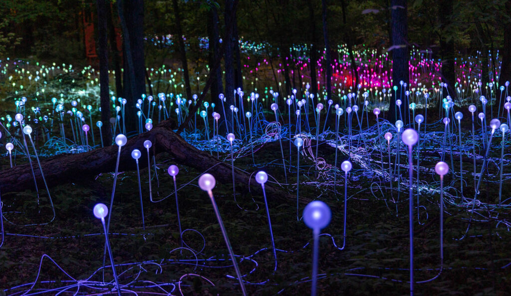 Light: Bruce Munro at Cheekwood Gardens, Nashville, USA - Bruce Munro ...