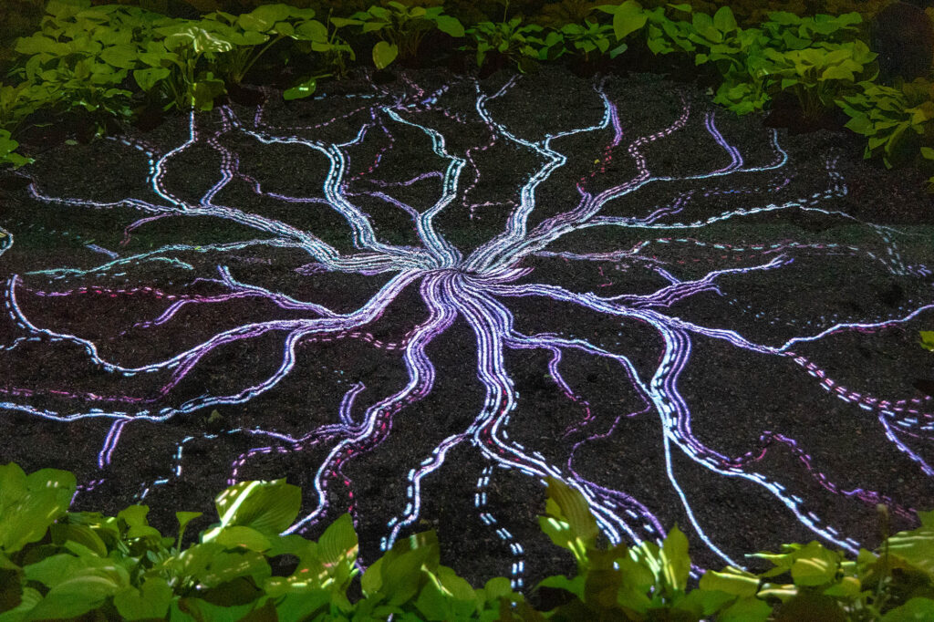 Light: Bruce Munro at Cheekwood Gardens, Nashville, USA - Bruce Munro ...