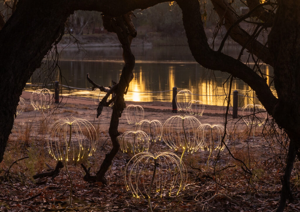 Trail of Light, Mildura, Australia - Bruce Munro Studio