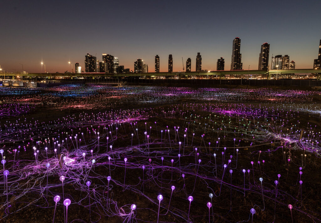 Field of Light, Manhattan, New York City, USA - Bruce Munro Studio