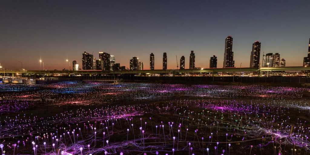 Field of Light - Bruce Munro Studio