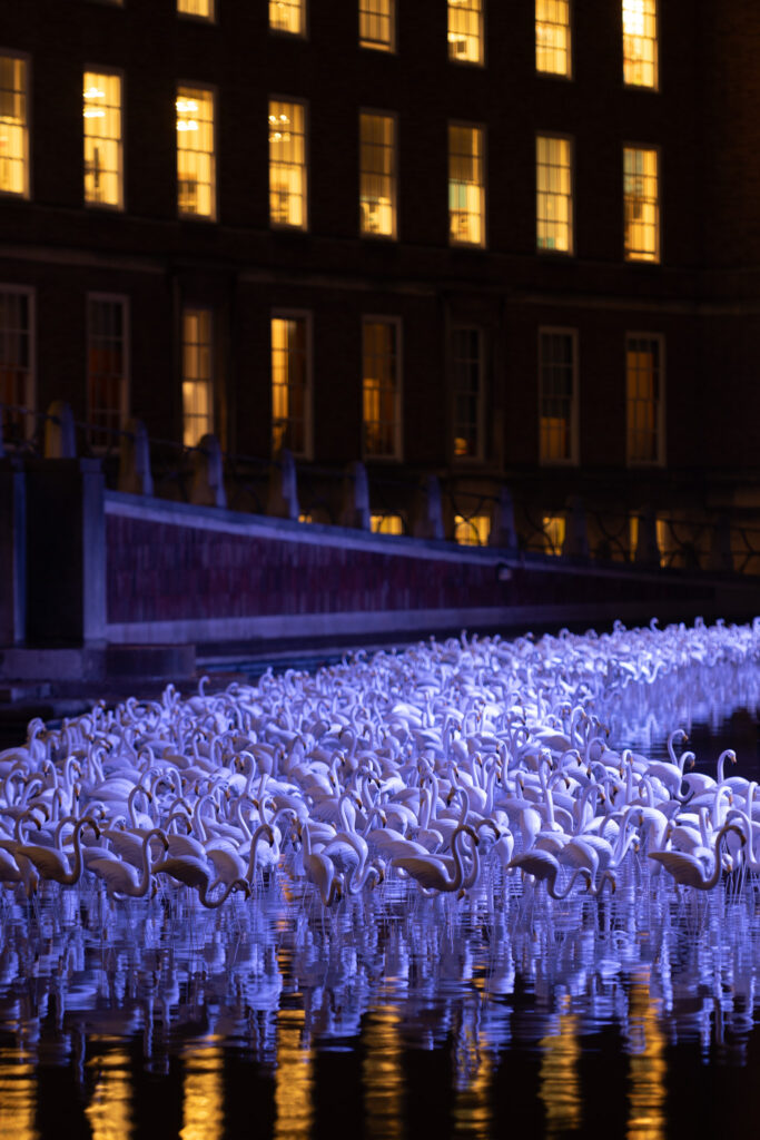 Bristol Light Festival, UK - Bruce Munro Studio