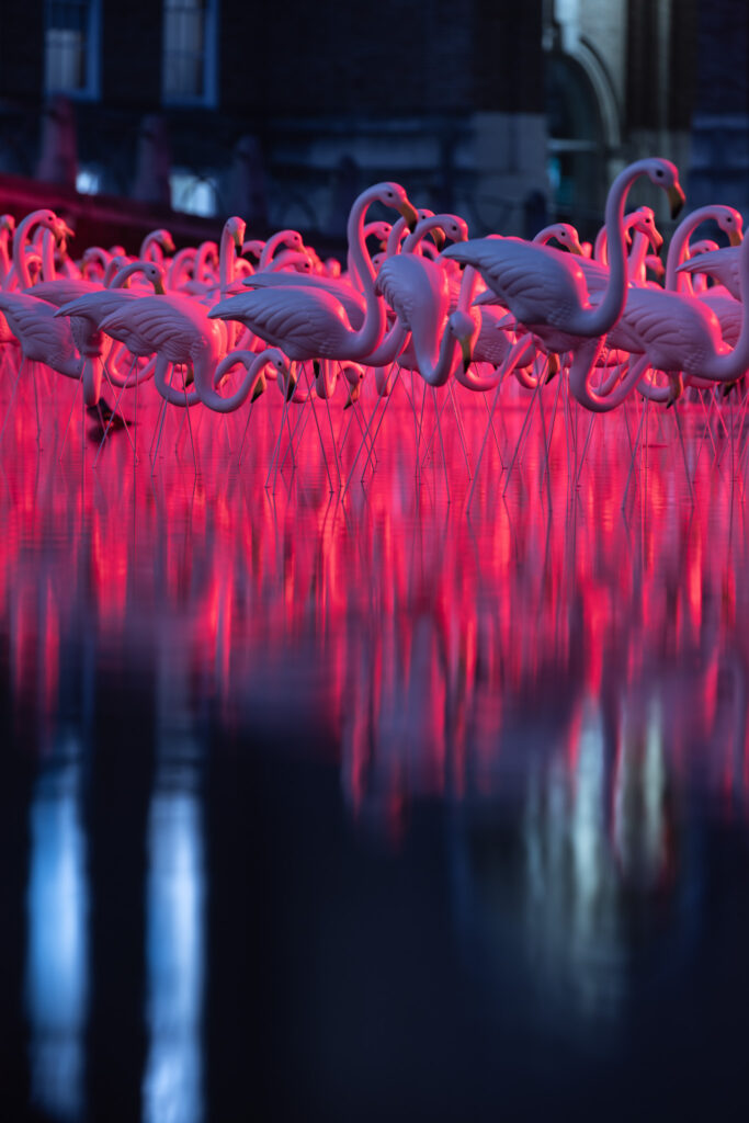 Bristol Light Festival, UK - Bruce Munro Studio